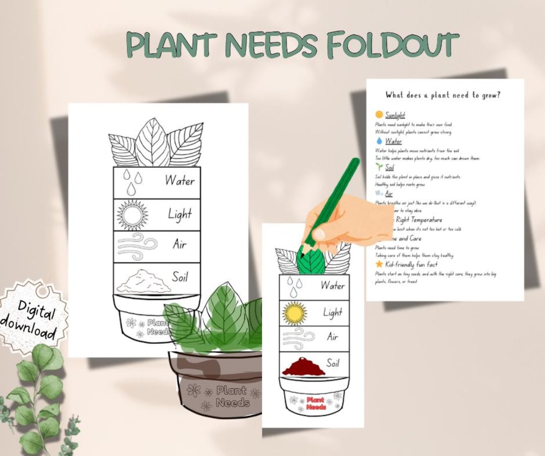 What Plants Need to Grow Foldout Coloring Page Printable Science Craft ...