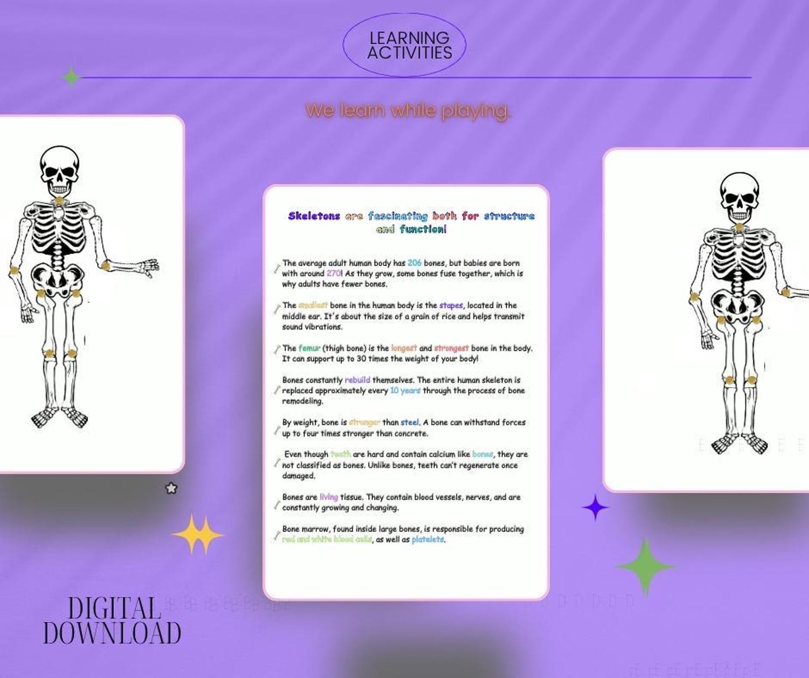 Human Skeleton Busy Book Page, Printable Montessori Materials, Kids ...