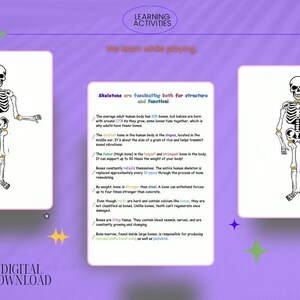Human Skeleton Busy Book Page, Printable Montessori Materials, Kids ...