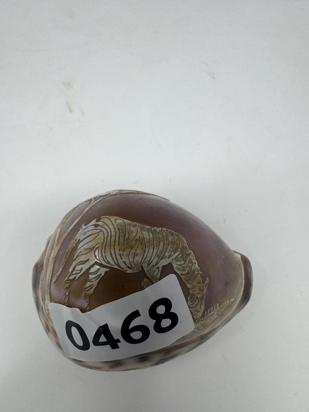 Vintage Carved Cowrie Shell With Zebra Design - Handcrafted Decorative ...
