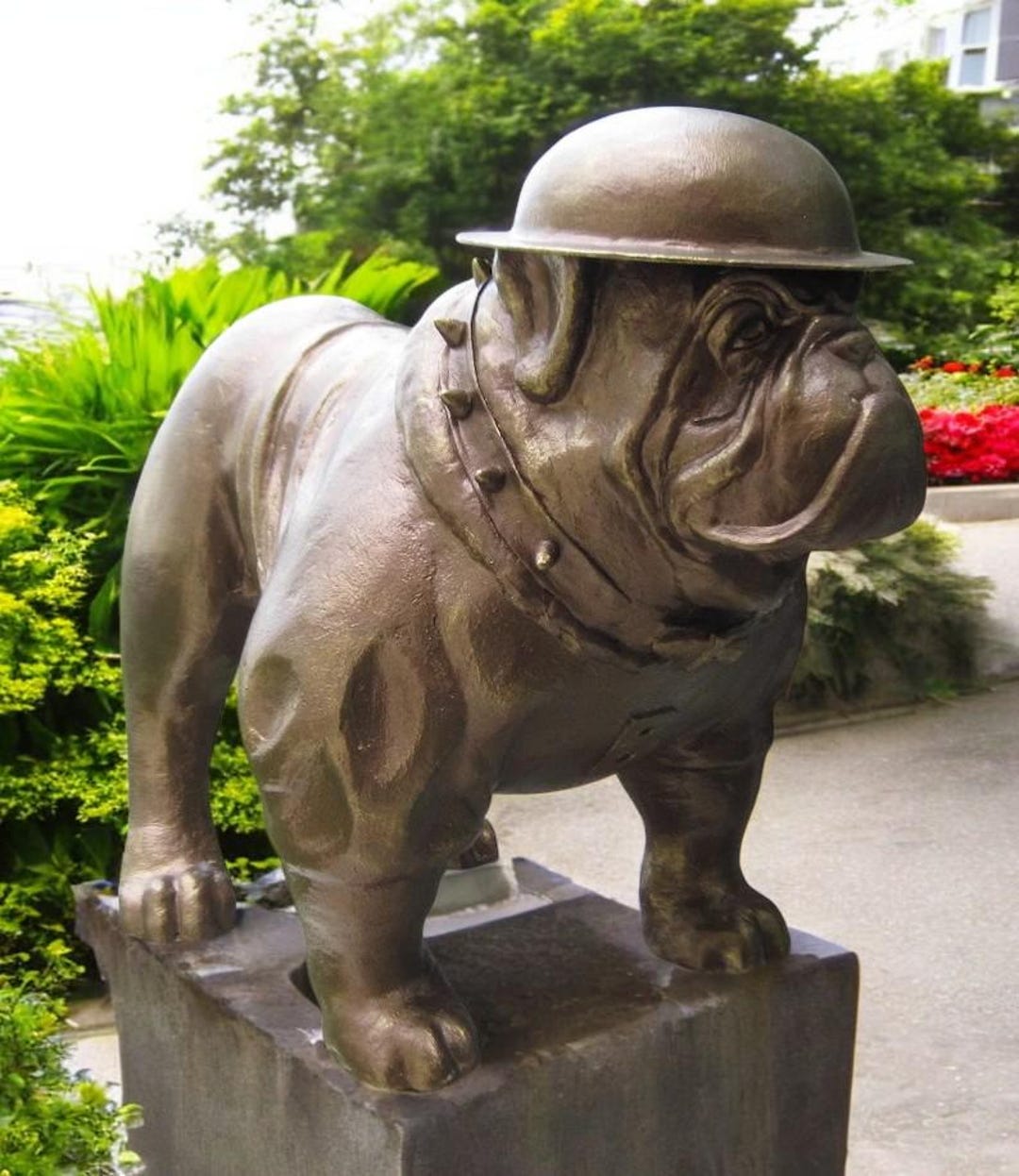 Military Style Large Bulldog Mascot Statue - Etsy