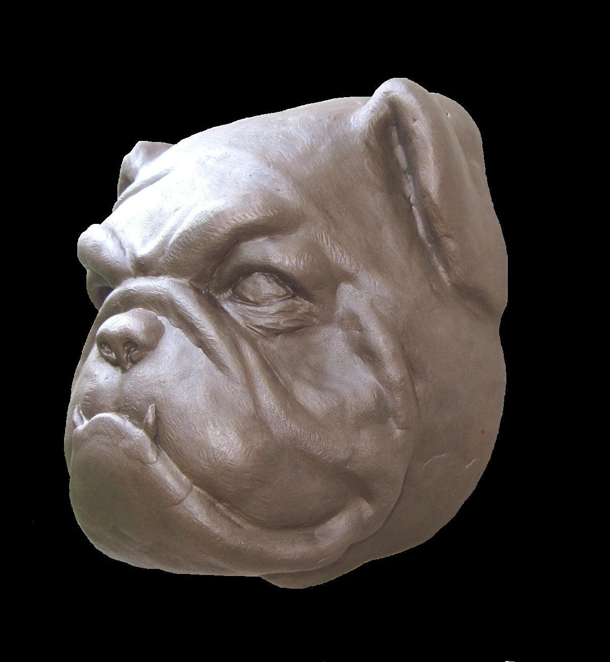 Meat Head the Bulldog Trophy/award - Etsy