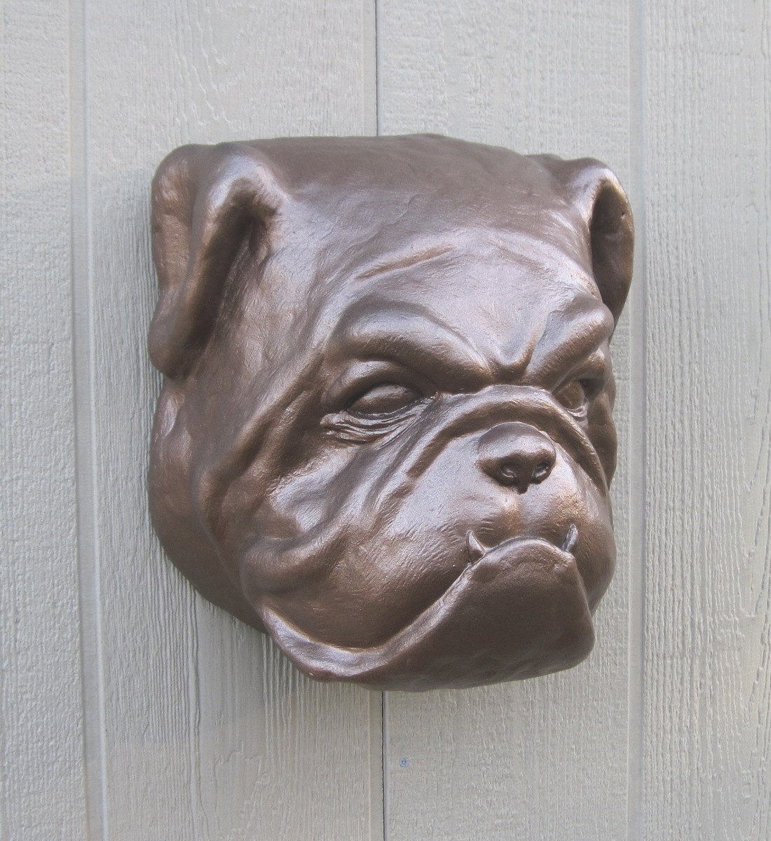 Meat Head the Bulldog Trophy/award - Etsy
