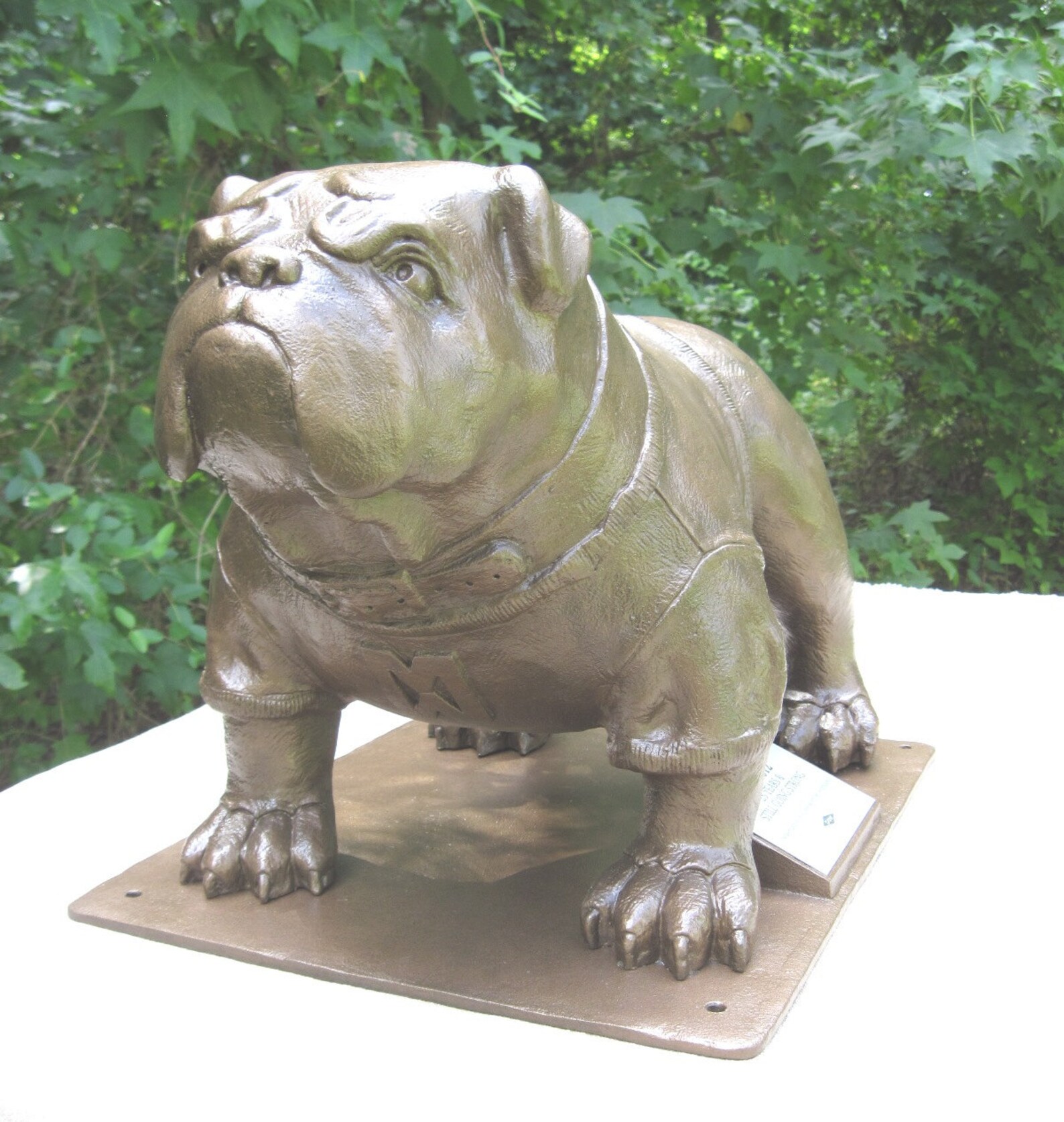 Bruiser ... English Bulldog Mascot Trophy/award - Etsy