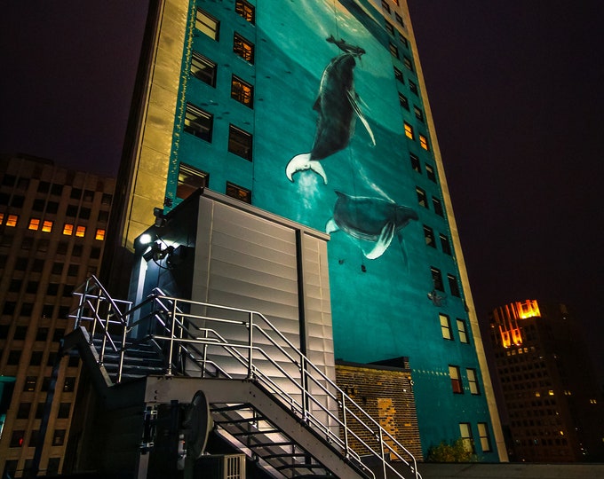 Detroit Whale Mural Broderick Tower Building at Night Fine Art ...