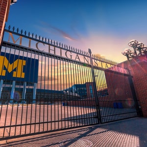 Michigan Stadium Gates University of Michigan Ann Arbor Fine Art ...