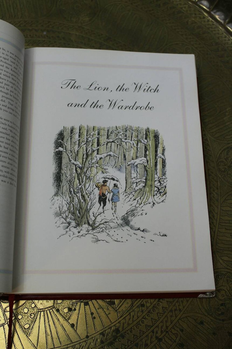 Made to Order Narnia Color Illustrated Edition Custom Lamb | Etsy Canada