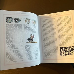 Made to Order Narnia Color Illustrated Edition Custom Lamb Skin Leather ...