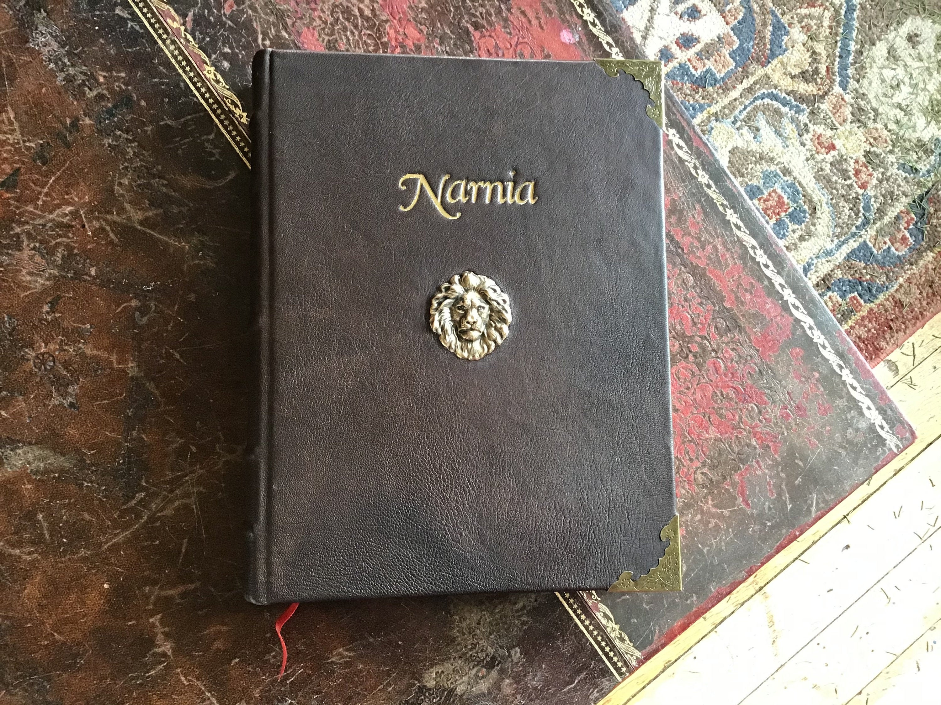 Made to Order Narnia Color Illustrated Edition Custom Lamb | Etsy Canada