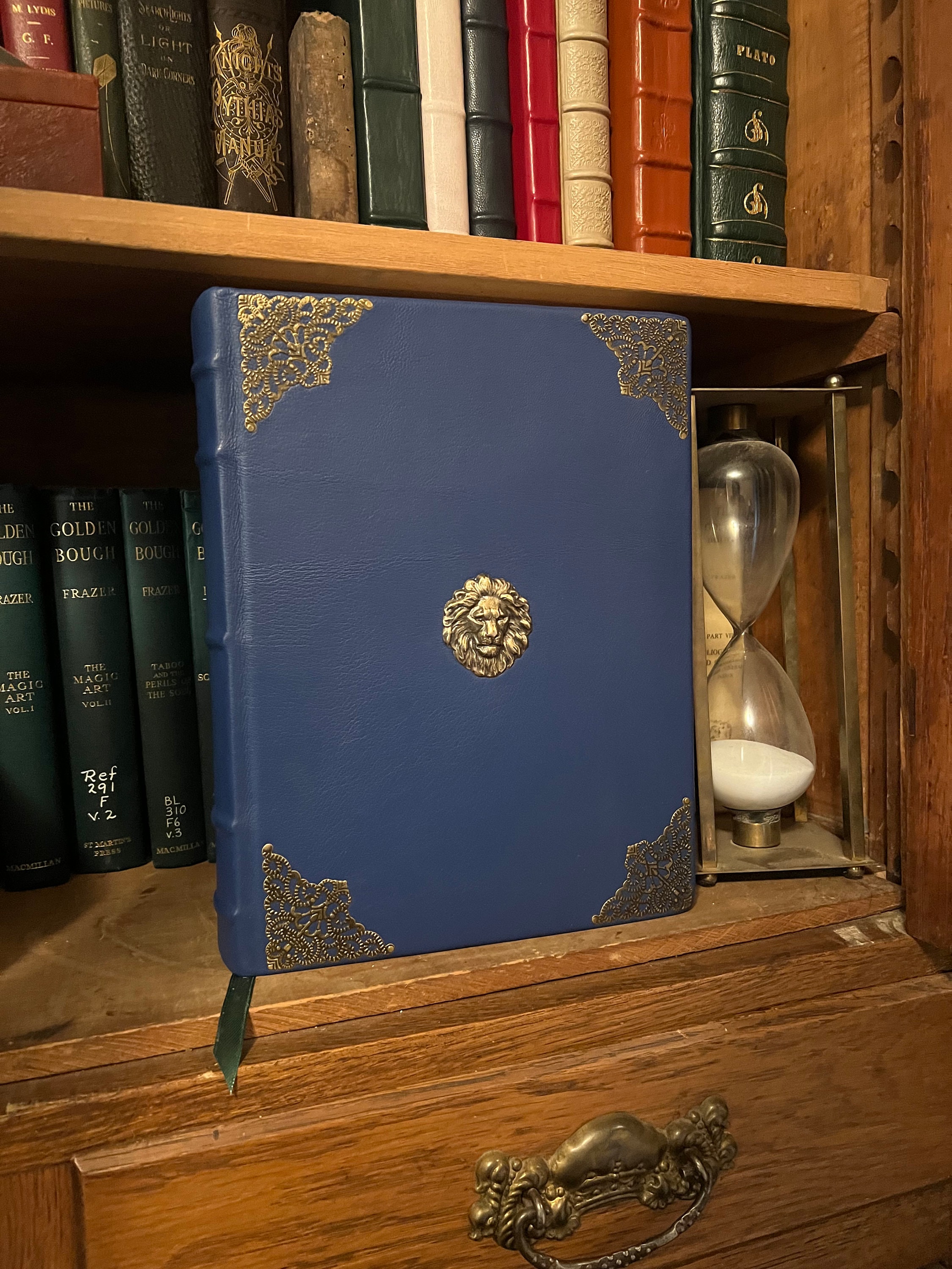 Made to Order Narnia Color Illustrated Edition Custom Lamb - Etsy Canada