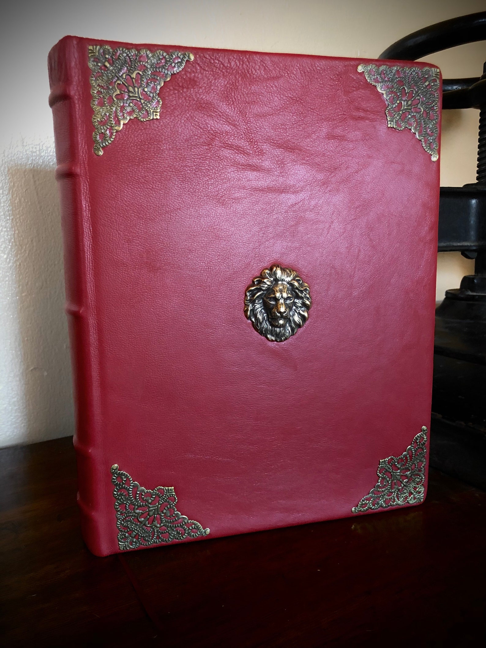 Made to Order Narnia Color Illustrated Edition Custom Lamb - Etsy