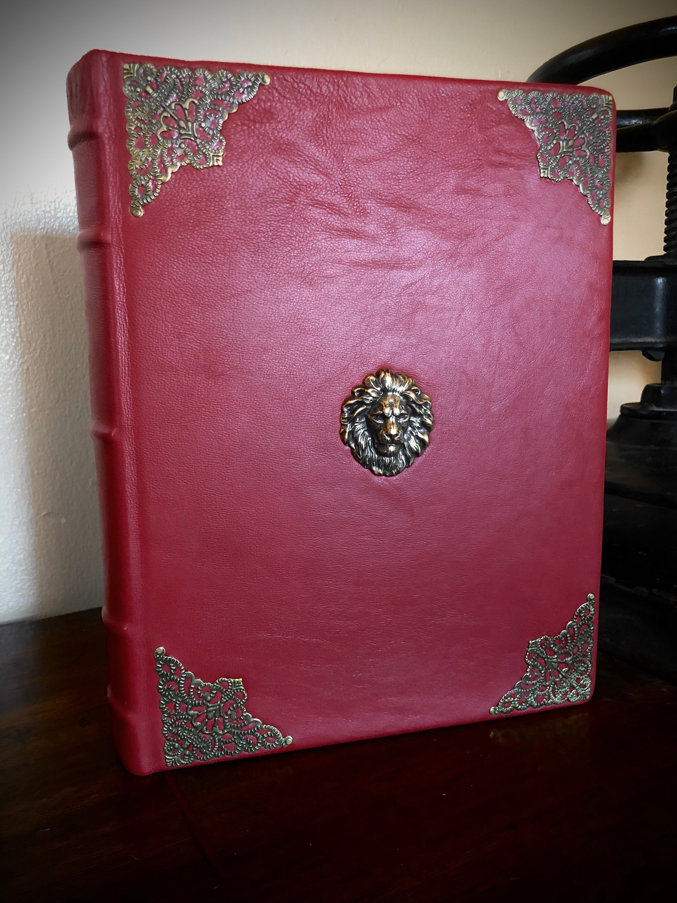 Made to Order Narnia Color Illustrated Edition Custom Lamb | Etsy Canada