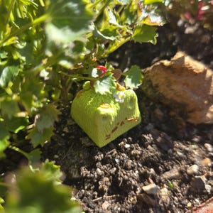 Cottage Core Aesthetic Cat Artisan Keycap | Mushroom Fairy Core Kawaii ...