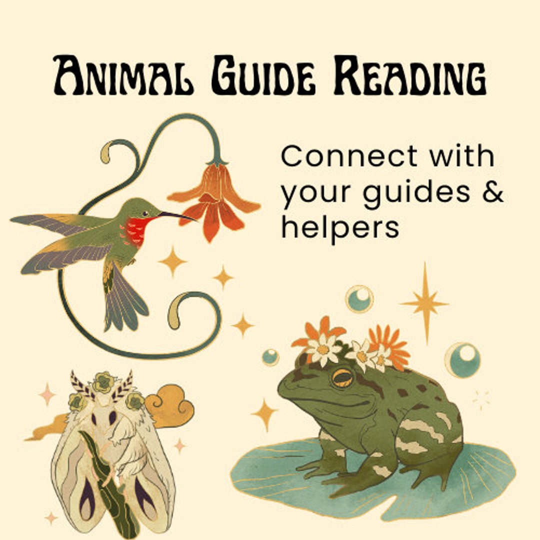 Animal Guide Card Reading: Spiritual Guidance & Advice - Etsy