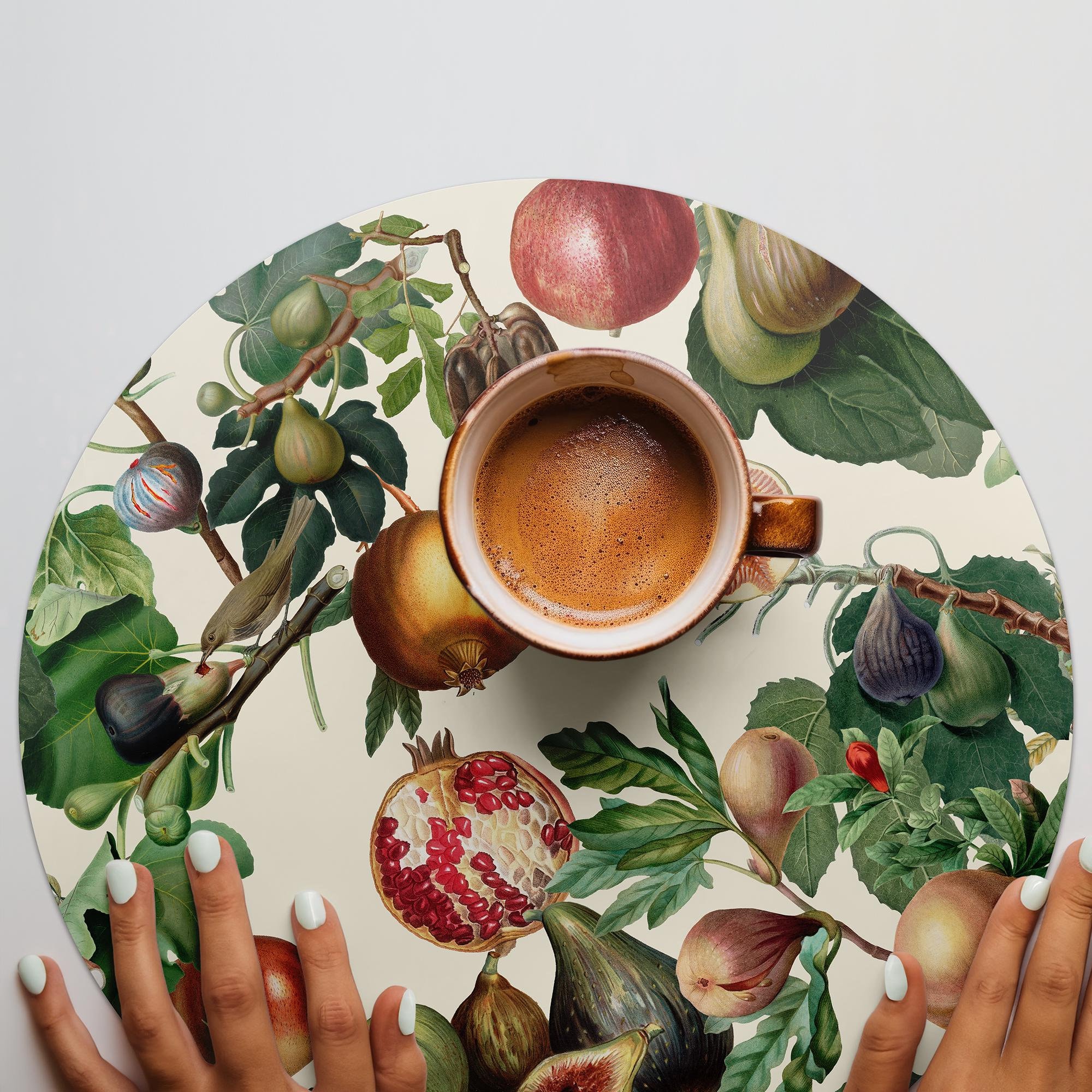 Vintage Fruit Round Coffee Table Placemats, Botanical Print, PVC Table ...