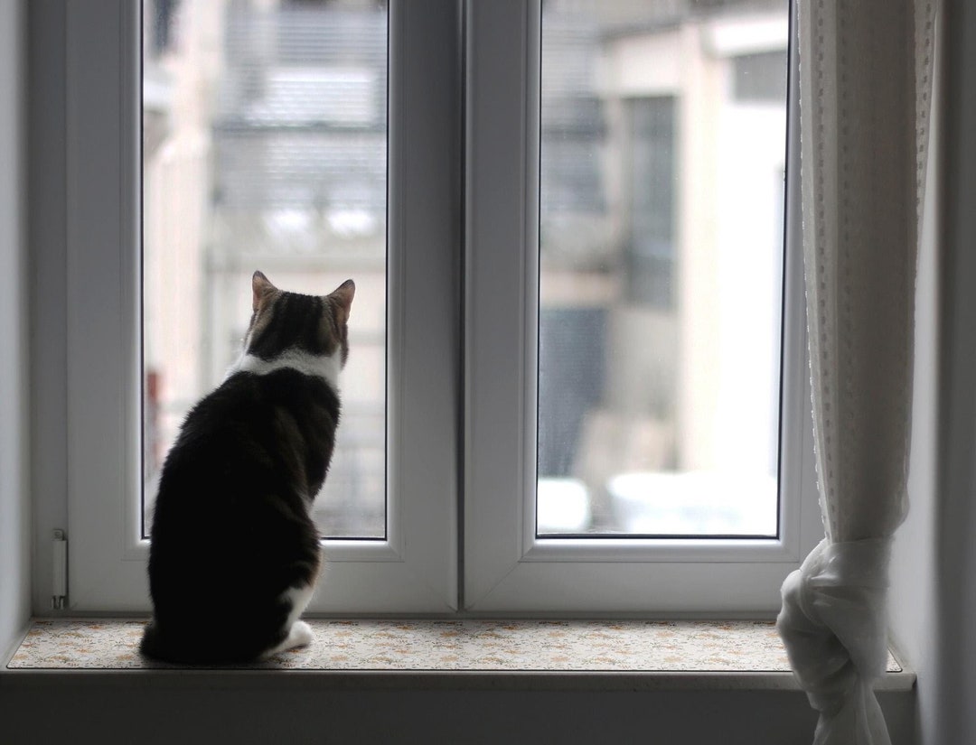 Cat Sill Mat, Kitty Window Pad, Window Sill Decor, PVC Mat, Home ...