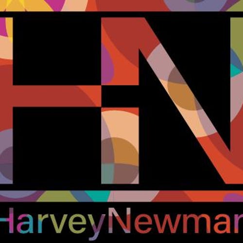 HarveyNewmanShop - Etsy