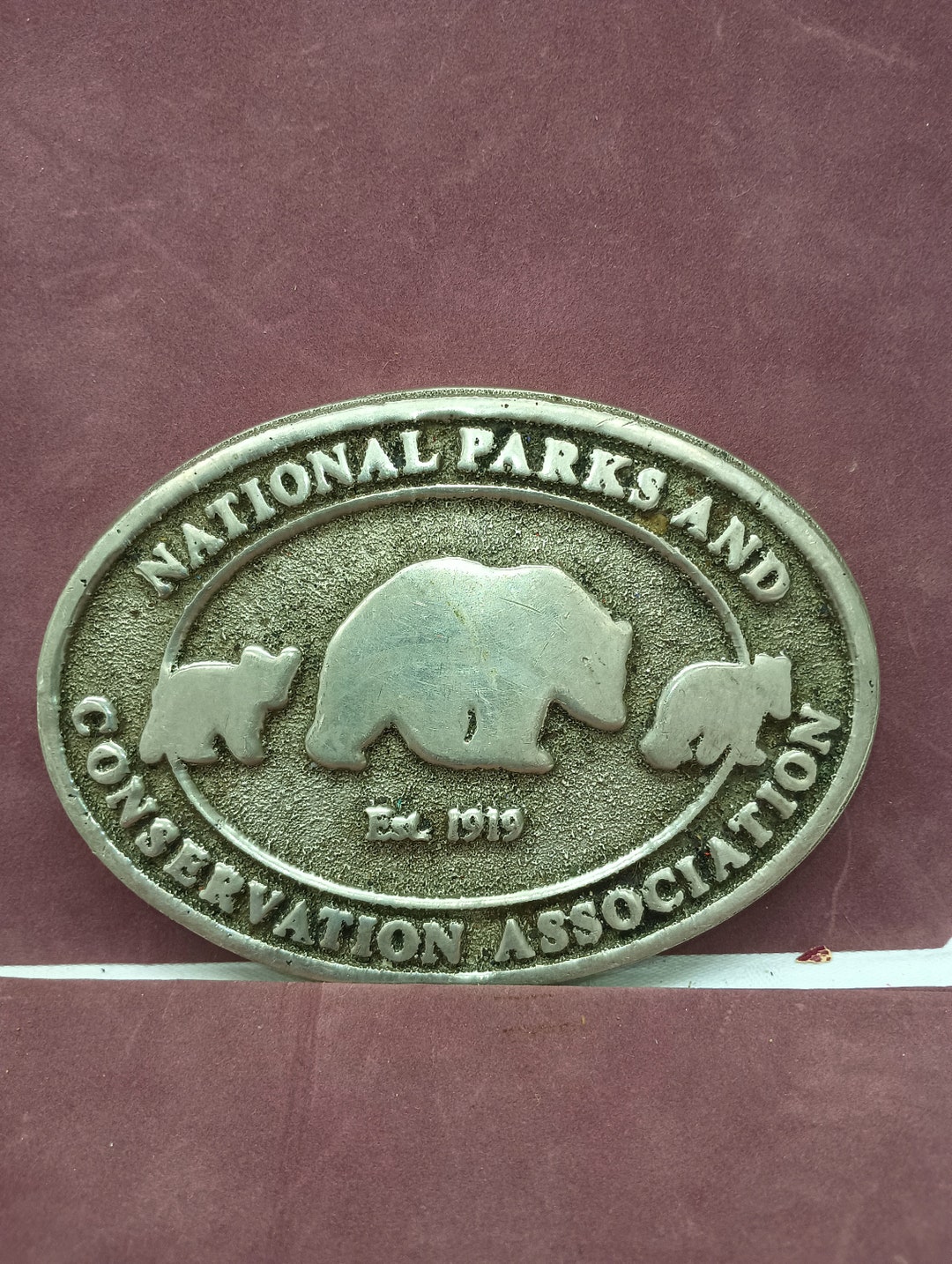 Heavy Paperweight Vintage National Parks & Conservation Association Est ...