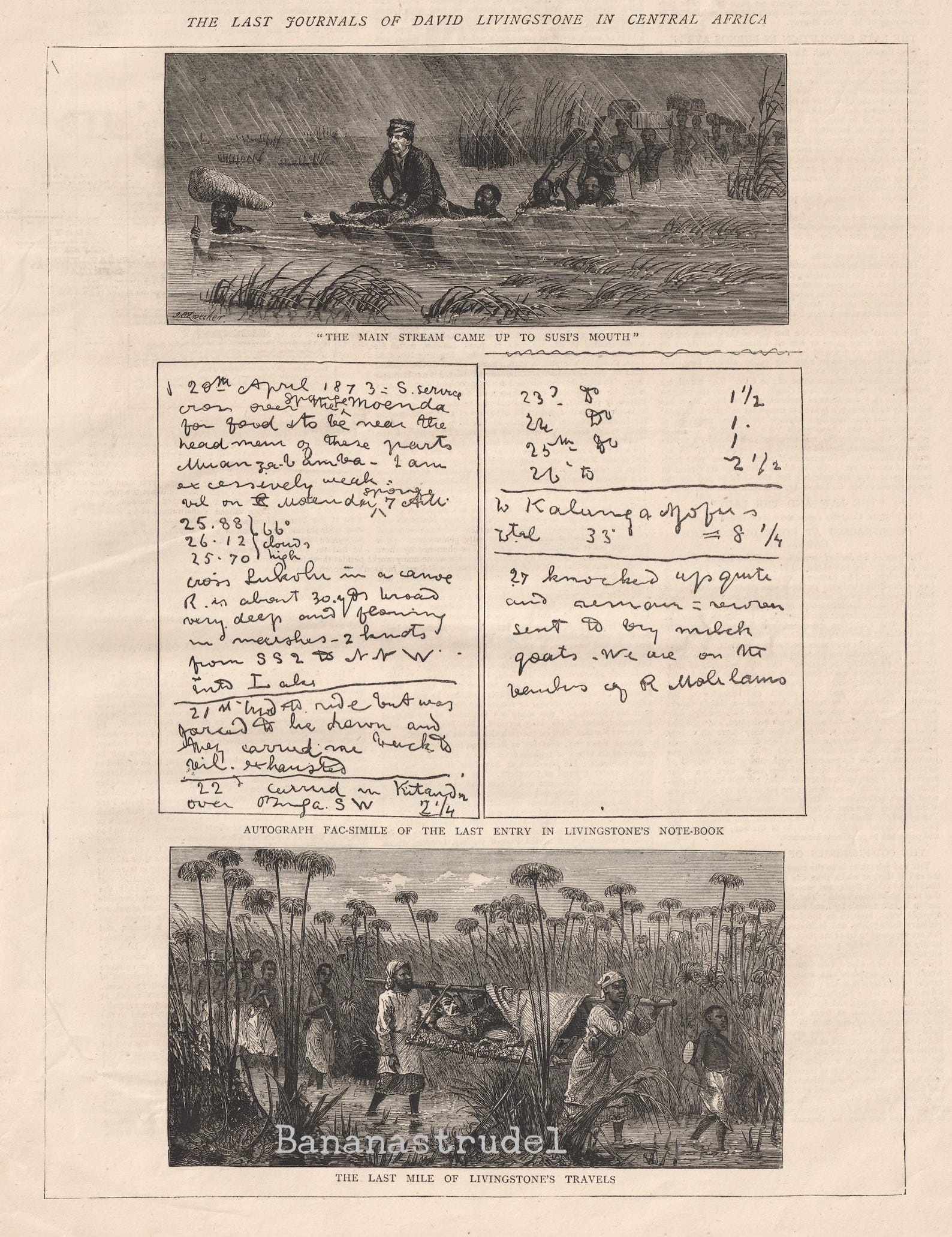 Antique Newspaper Page on Explorer David Livingstone - December 19 ...