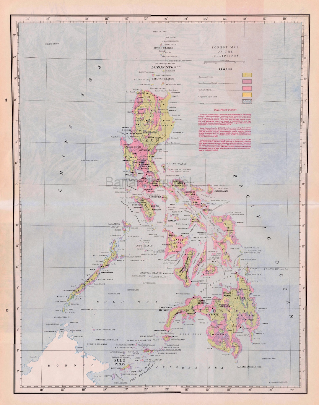 Philippines - Forest Map - RARE Large Vintage 1959 Map - Etsy