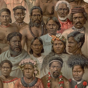 Antique Print of the Peoples of Oceania australia, Tonga, New Zealand ...