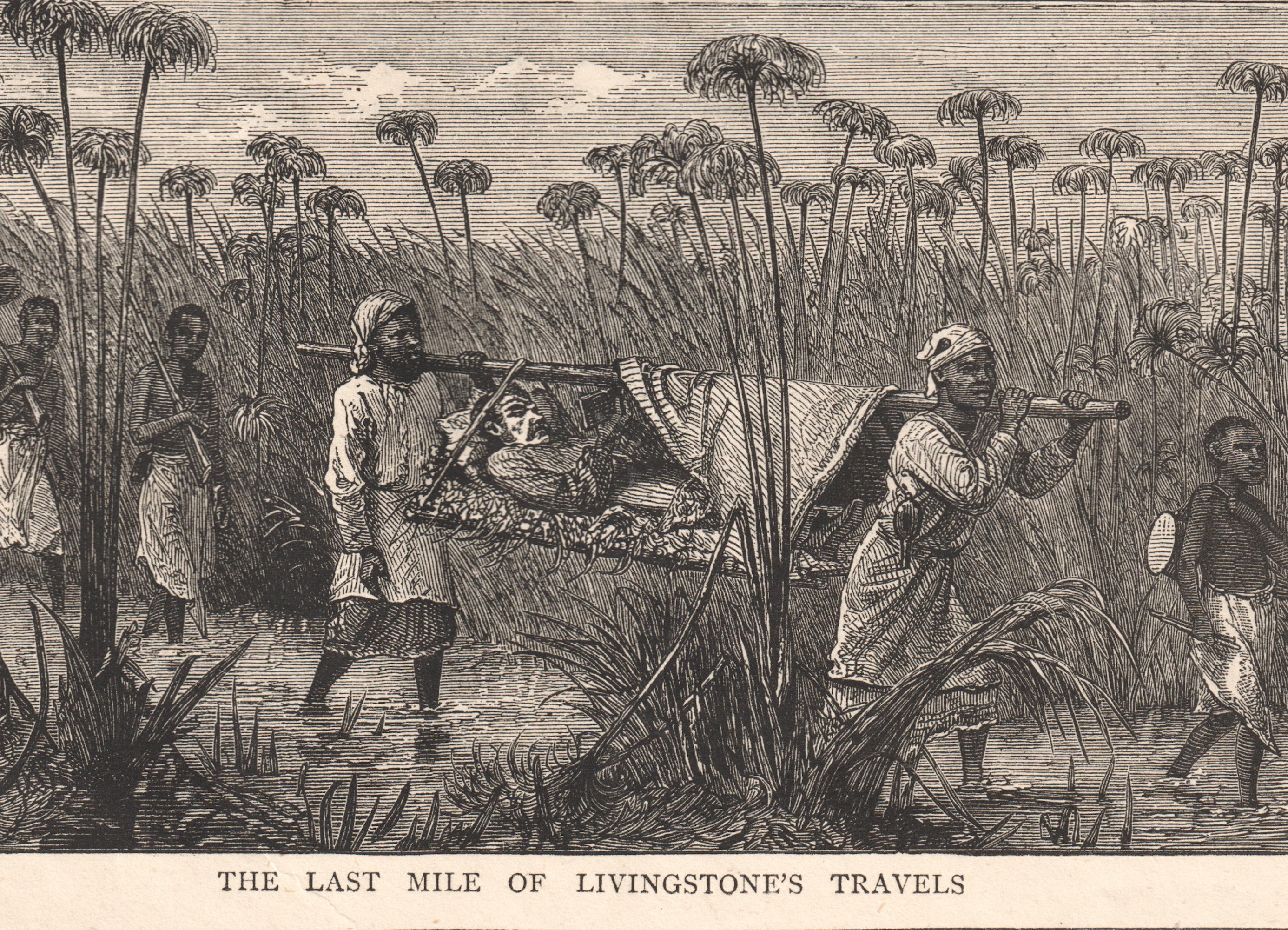 Antique Newspaper Page on Explorer David Livingstone - December 19 ...