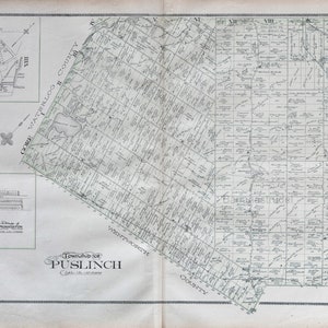 1906 Rare Large Antique Map of Puslinch Township, Wellington County ...