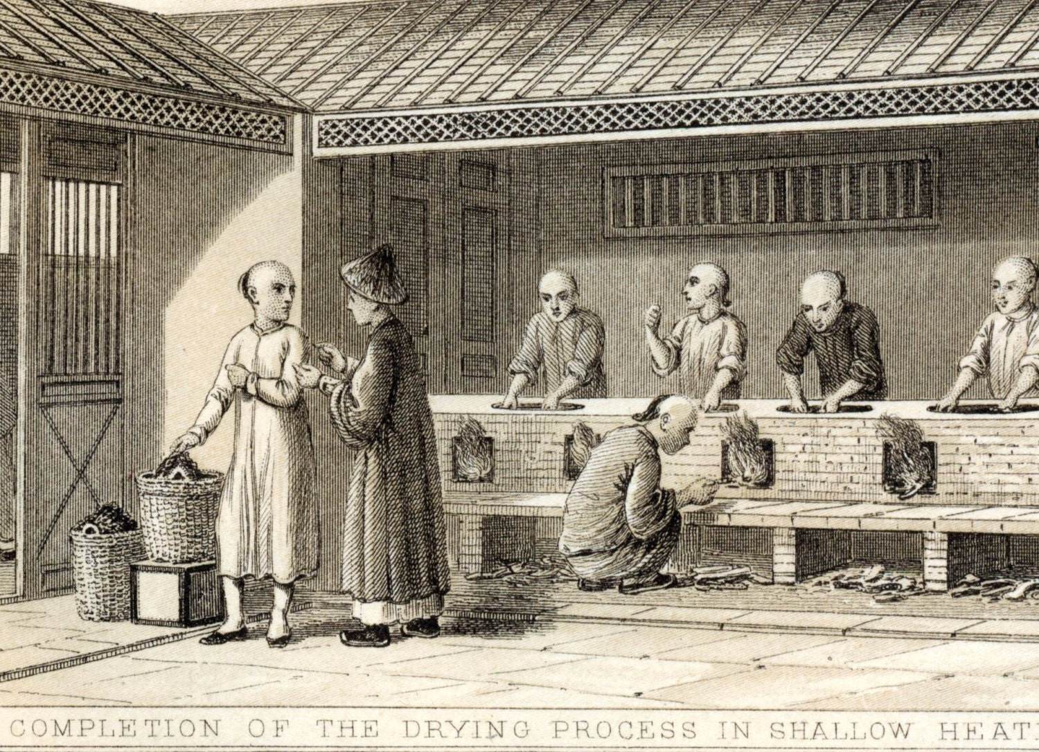 1870 Rare Antique Print of Tea History of Tea Tea - Etsy Canada