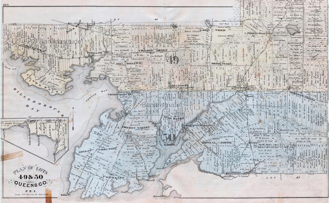 1880 Large Rare Antique Map of Lots 49 and 50, Queens County, Prince ...