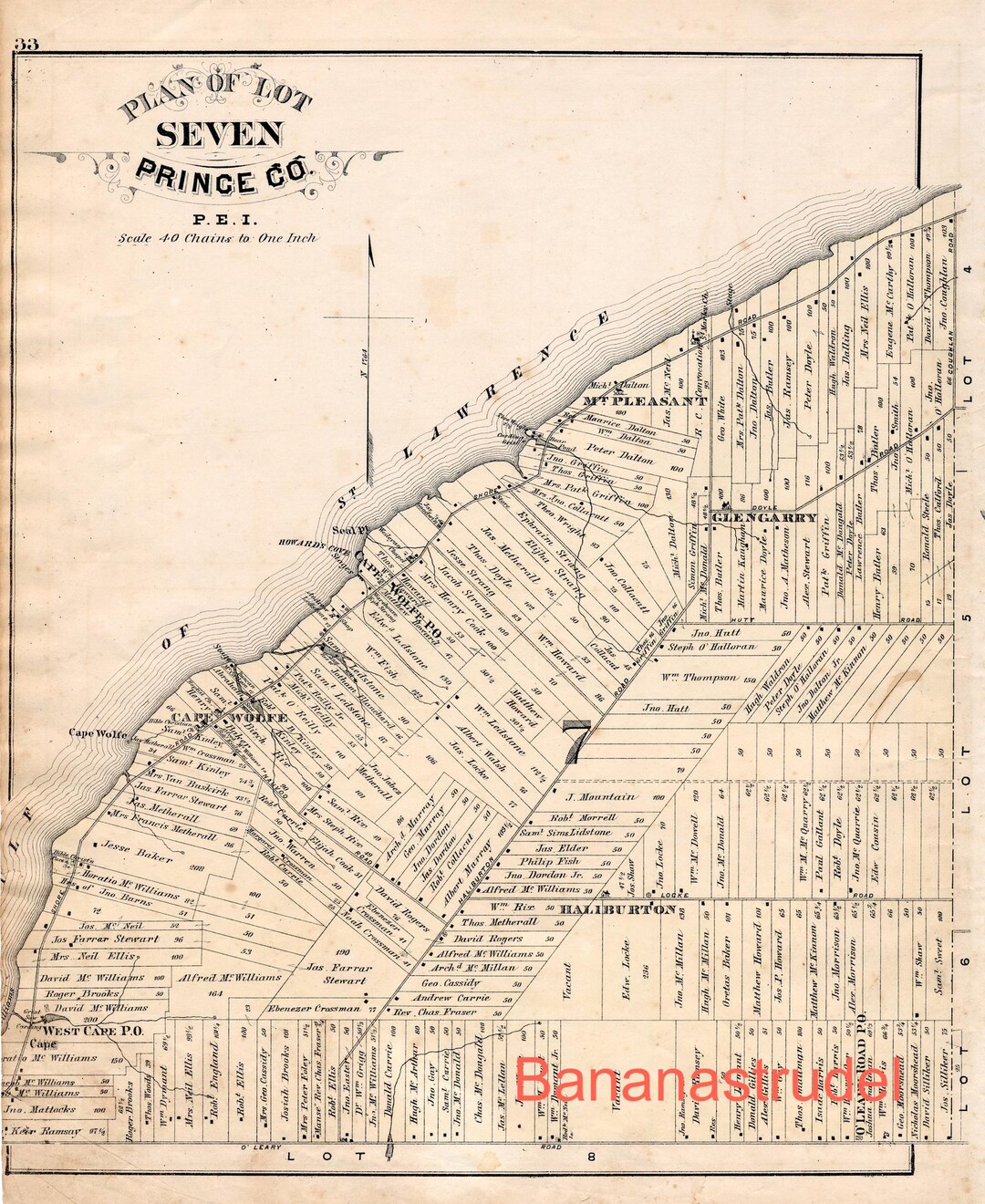 1880 Antique Prince Edward Island Map - Lot 7 - Prince County - Cape ...