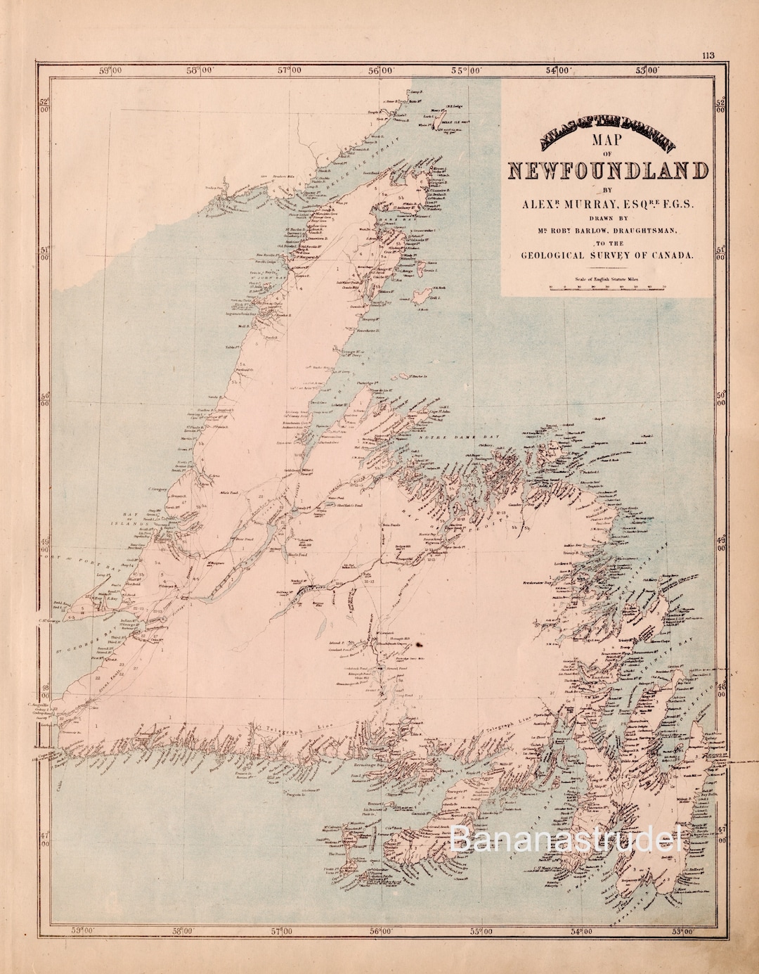 1875 Rare Antique Map of Newfoundland Antique Newfoundland Map ...