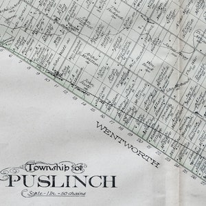 1906 Rare Large Antique Map of Puslinch Township, Wellington County ...