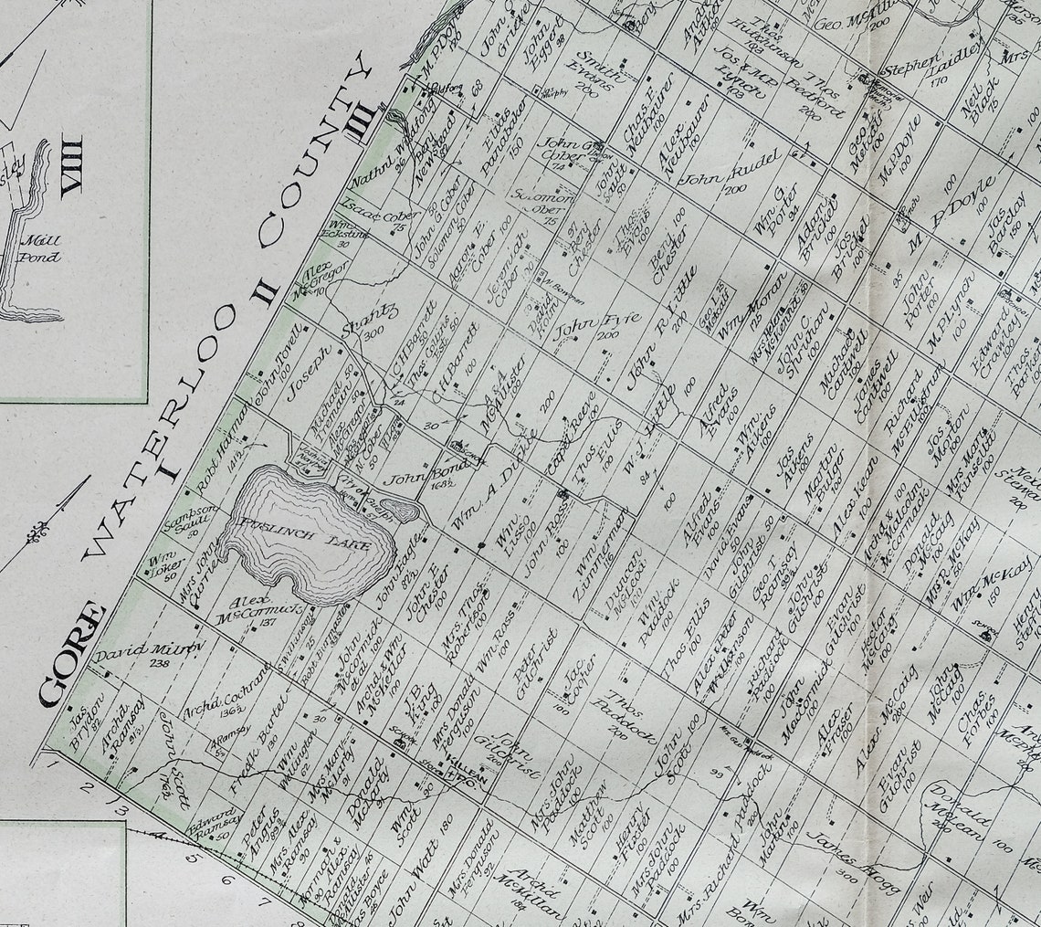 1906 Rare Large Antique Map of Puslinch Township, Wellington County ...