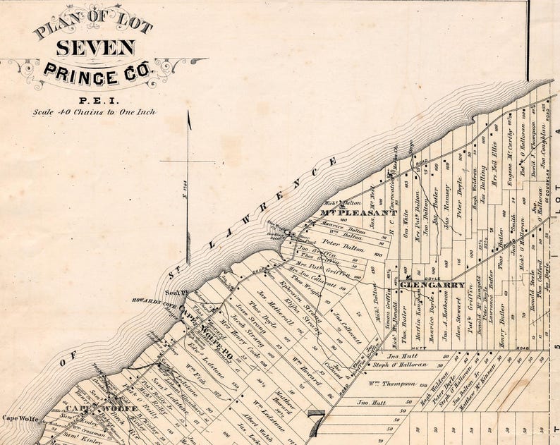 1880 Antique Prince Edward Island Map - Lot 7 - Prince County - Cape ...