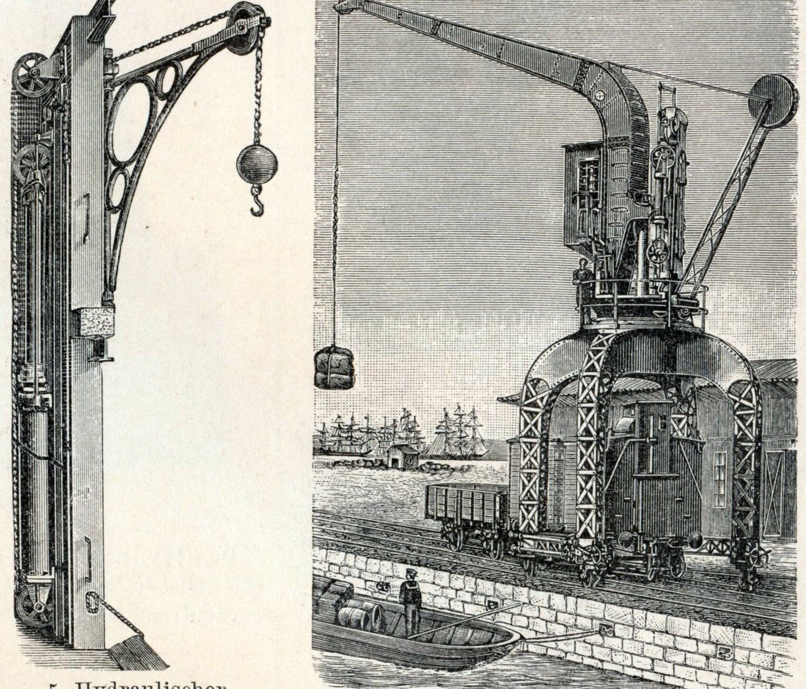 1895 German Antique Engraving of Cranes larger Version - Etsy