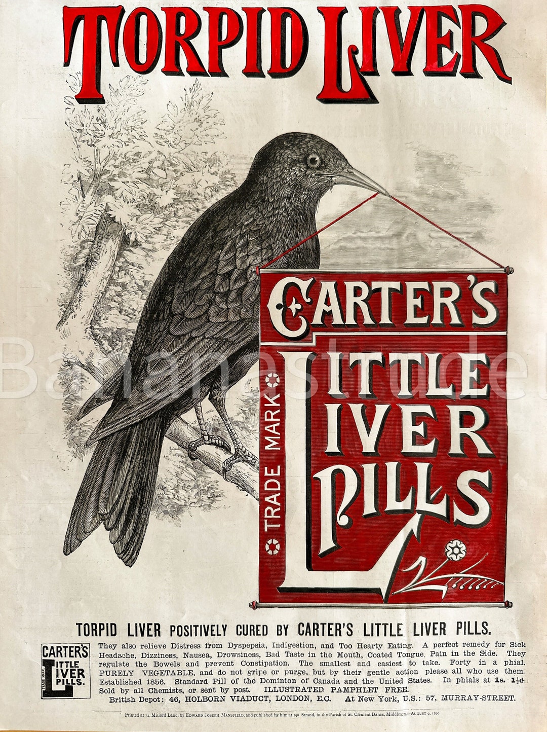 1890 Carter's Little Liver Pills - Torpid Liver Large Handcoloured ...