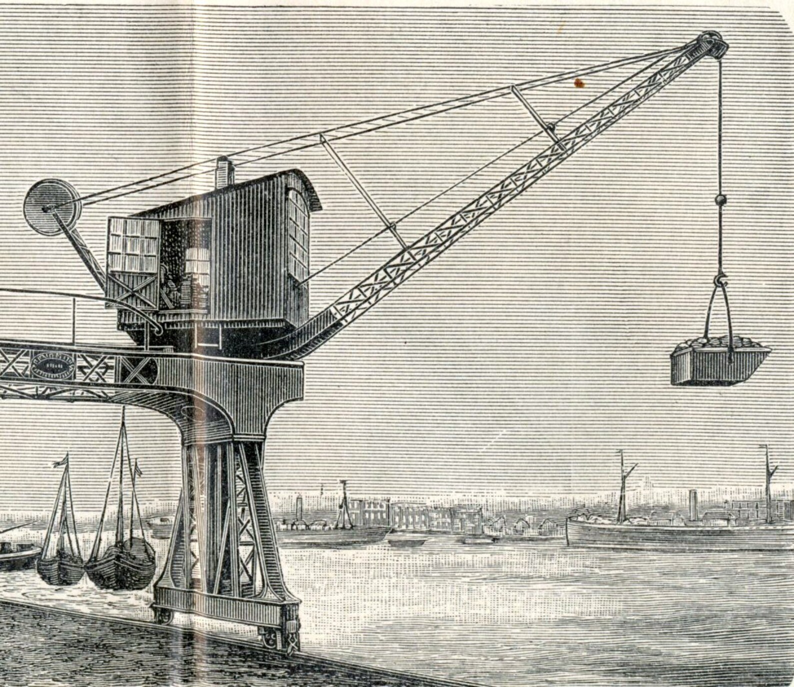 1895 German Antique Engraving of Cranes larger Version | Etsy