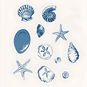 Coastal Seashell Art Print | Beach-inspired Wall Decor | Nautical ...