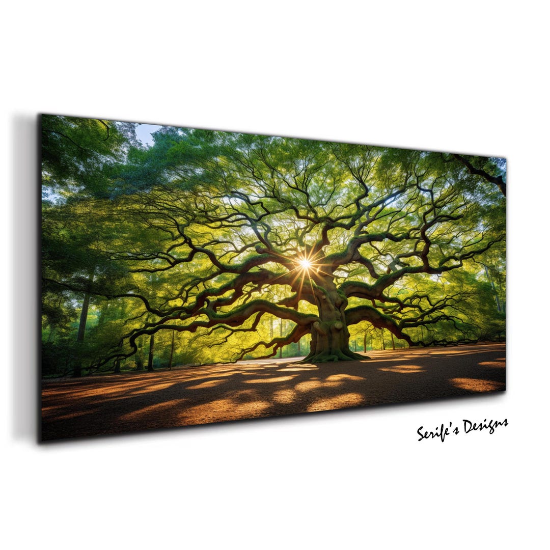 Angel Oak Tree Wall Art-large Glass Wall Art-tempered Glass Wall Art ...