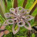 Set of 3 NEW Rusted Wild Flowers Garden Stakes Metal Art Yard Art - Etsy