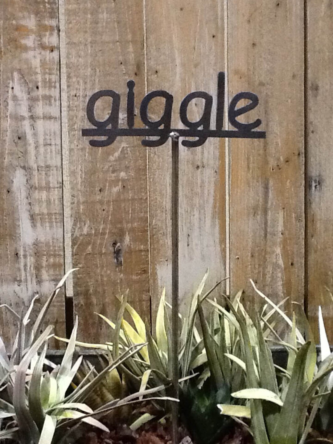 SHIP NOW - GIGGLE - Garden Stake - Metal Garden Sign - 19 Inches Tall ...