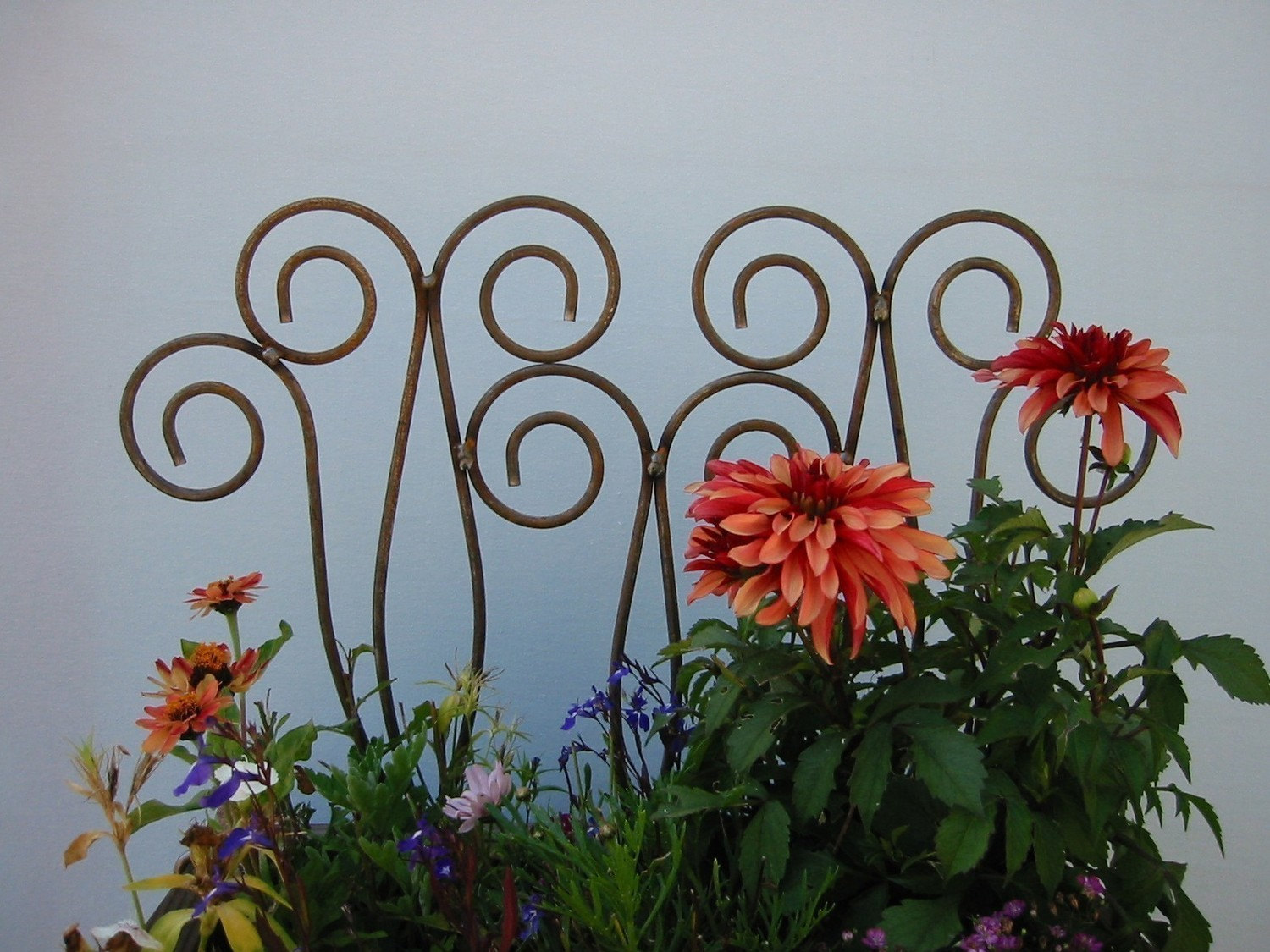 Metal Swirl Scroll Fence - SET of 3 - Etsy