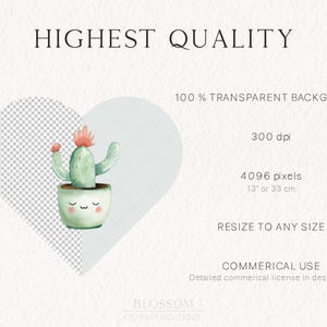 Watercolor Succulent Clipart Set | 30 PNG Plant Illustrations | 300 DPI ...