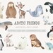 Watercolor Clipart Arctic Animals Set | Cute Polar Wildlife ...
