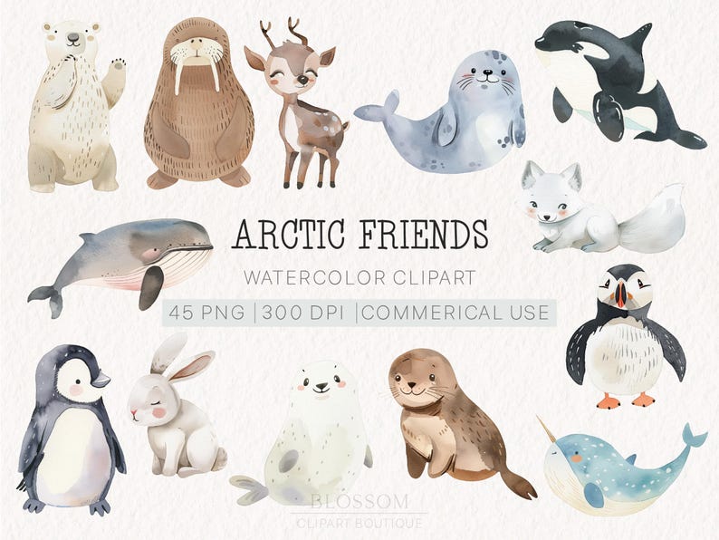 Watercolor Clipart Arctic Animals Set Cute Polar Wildlife Commercial ...