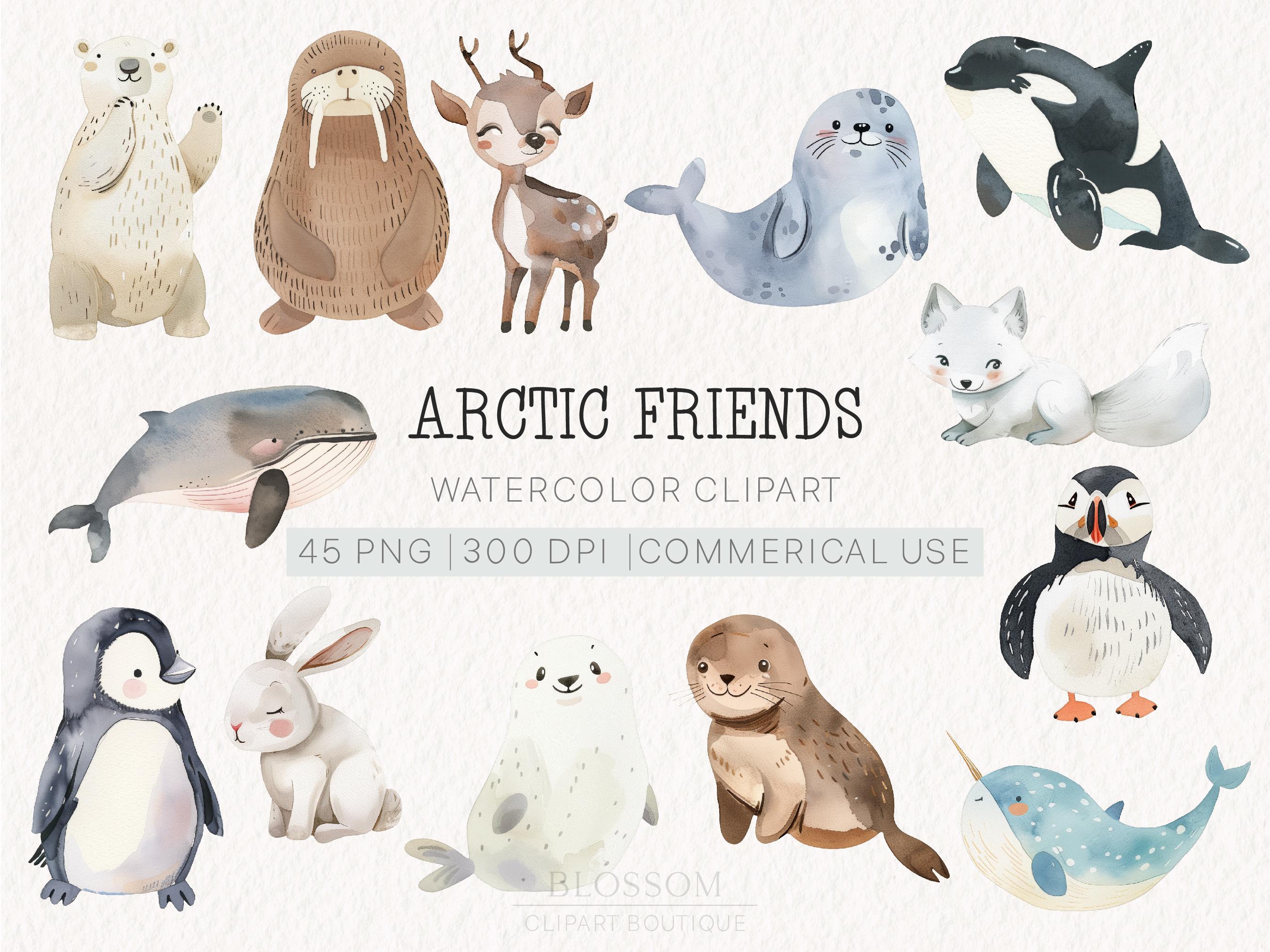 Watercolor Clipart Arctic Animals Set | Cute Polar Wildlife ...