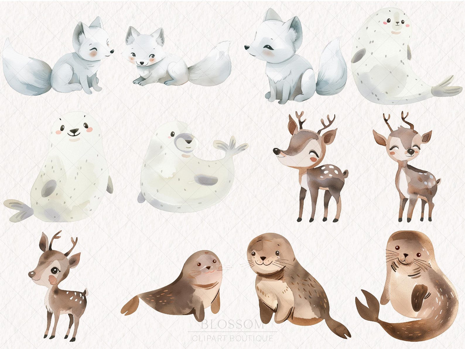 Watercolor Clipart Arctic Animals Set | Cute Polar Wildlife ...
