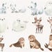 Watercolor Clipart Arctic Animals Set | Cute Polar Wildlife ...