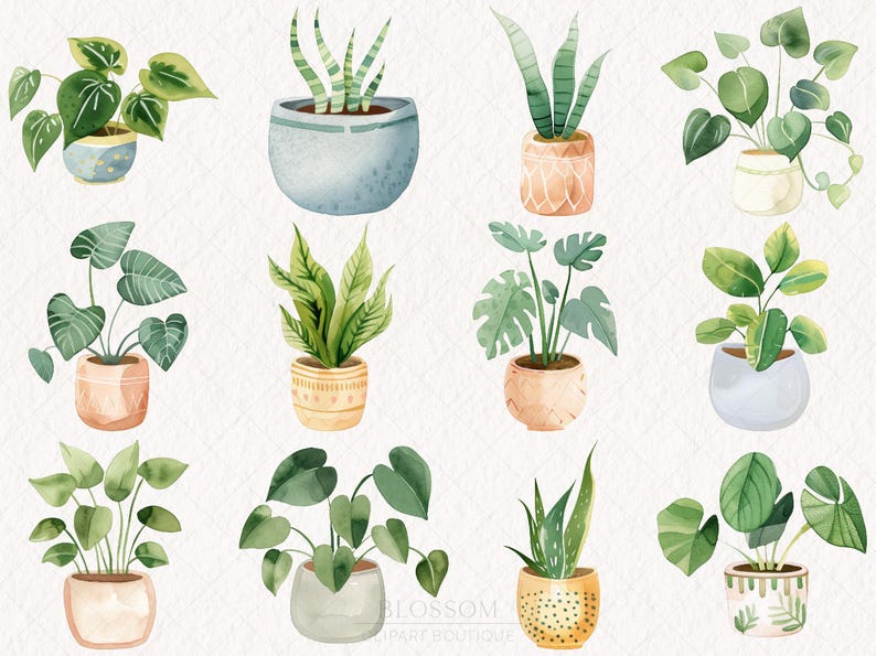 Watercolor Houseplants Clipart Bundle Potted Plants Greenery ...