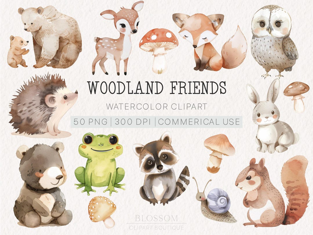 Woodland Animals Clipart Bundle | Cute Watercolor Forest Creatures for ...